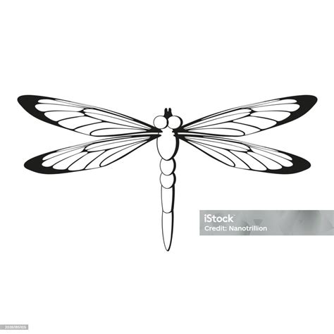 실루엣 잠자리 검은 패턴 아이콘은 흰색 배경에 고립되어 있습니다 어떤 크기로든 쉽게 확장할 수 있습니다 로그인 기호 로고 그림