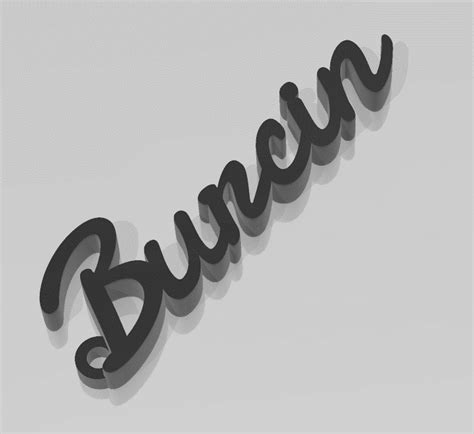 Stl File Burcin 👩・3d Printer Model To Download・cults