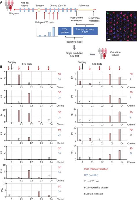 Detection And Surveillance Of Circulating Tumor Cells In Osteosarcoma For Predicting Therapy