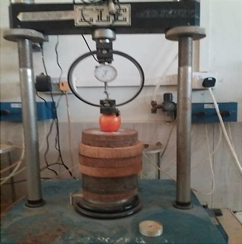 Compression Test Being Performed Download Scientific Diagram