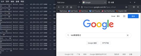 Kali代理神器proxychains 哔哩哔哩