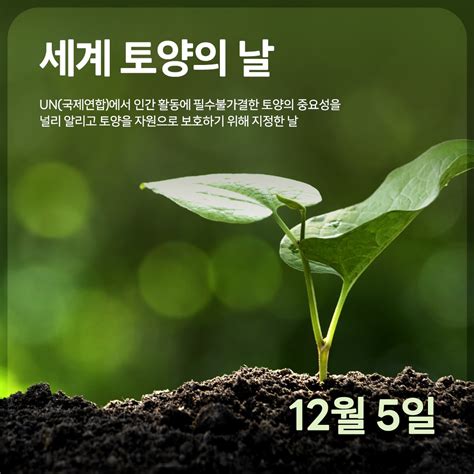 수도권대기환경청 세계 토양의 날🌱 뿌리 깊은 나무는🌲 바람에 흔들리지 않습니다 좋은 토양에서 난 생명은 쉽게 사라지지 않죠 토양은 생명에게 필요한 모든 영양분을🍎