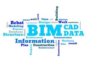Bim