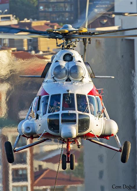 Crocodile Sex Frenzy Triggered By Chinook Helicopters R Helicopters