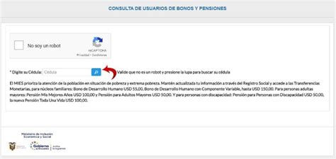 Cómo saber si estoy en la base de datos del MIES