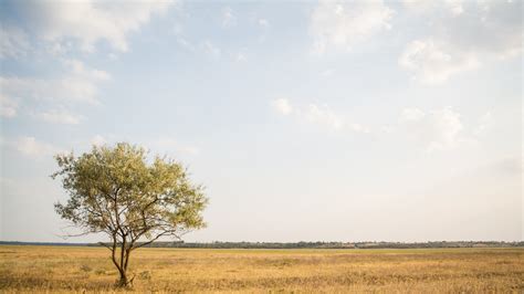 How To Resize Images In Markdown Posts Coding By Day Debugging By Night