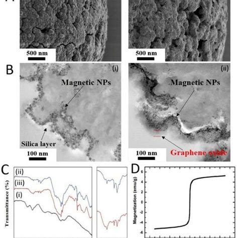 A Sem Of I Aminated Silica Coated Magnetic Beads And Ii Graphene