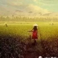 顺其自然随遇而安 智慧 为人 缘份