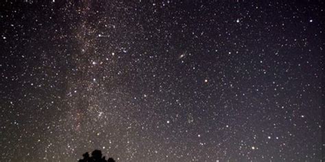 수이웃 주작조 밤하늘이 어두운 날에 포근한 테디 베어