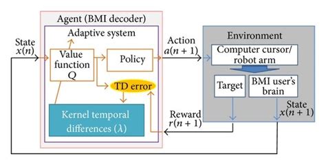 The Decoding Structure Of Reinforcment Learning Model In A Brain