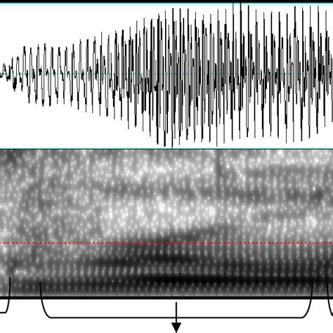Figure2 Spectrogram And Waveform Of The Words Grow On Where Two