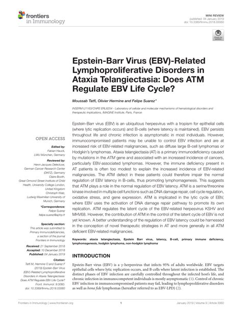 Pdf Epstein Barr Virus Ebv Related Lymphoproliferative Disorders In