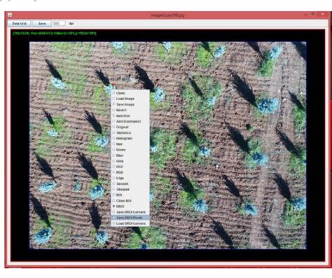 Figure 1 From Development Of Automatic Tree Counting Software From Uav Based Aerial Images With