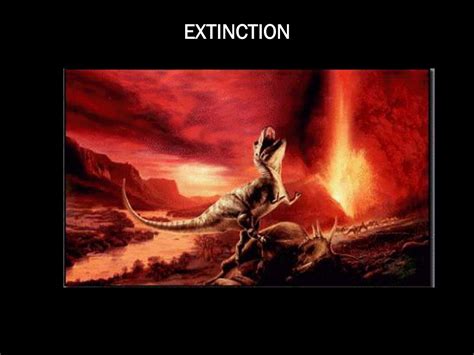 Ppt Extinction Powerpoint Presentation Free Download Id9309429