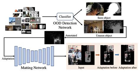 OSM An Open Set Matting Framework With OOD Detection And Few Shot Learning ServiceNow Research