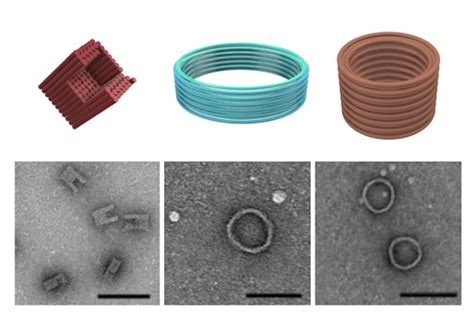 Dna Nanostructures Suit Up For Future Missions