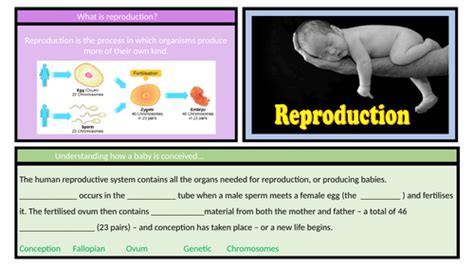 Reproduction Teaching Resources