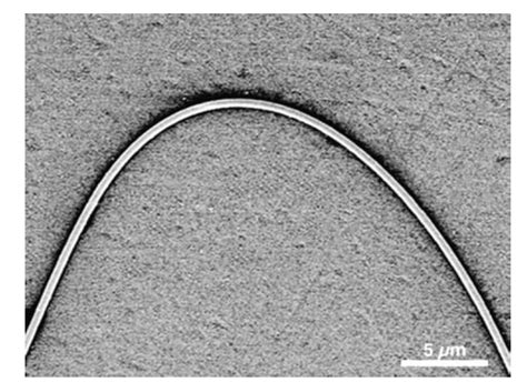 Silica Nanofibers And Subwavelength Diameter Fibers Fosco Connect