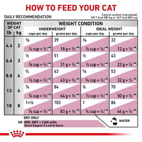 Feline Renal Support A Royal Canin Us