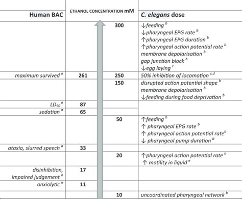 Comparison Of Human BAC And Effective Ethanol Concentration In C Download Scientific Diagram