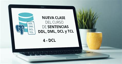 Curso De Sentencias Ddl Dml Dcl Y Tcl 4 Dcl