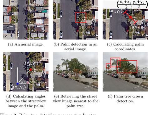 Figure 1 From Automatic Large Scale Detection Of Red Palm Weevil Infestation Using Aerial And