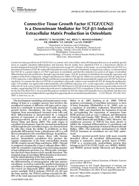 Pdf Connective Tissue Growth Factor Ctgfccn2 Is A Downstream