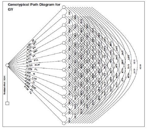 Path Diagram For Grain Yield With Yield Components Download Scientific Diagram