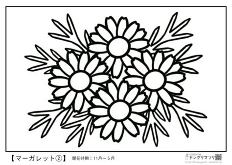 【冬の塗り絵まとめ】1月に使えるぬり絵一覧 高齢者用脳トレ・塗り絵無料｜ドングリマツリ｜認知症予防クイズ・レク