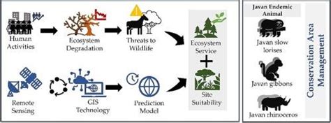 Developing A Spatial Based Predictive Model For Conservation Area