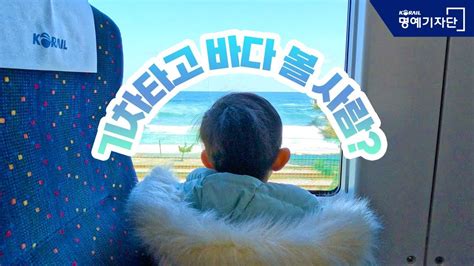 기차타고 바다 볼 사람 강릉역에서 정동진역 바다뷰 홍윤이네│ 홍윤이네 Youtube