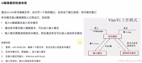 Linux命令 Grepwc管道符 Csdn博客
