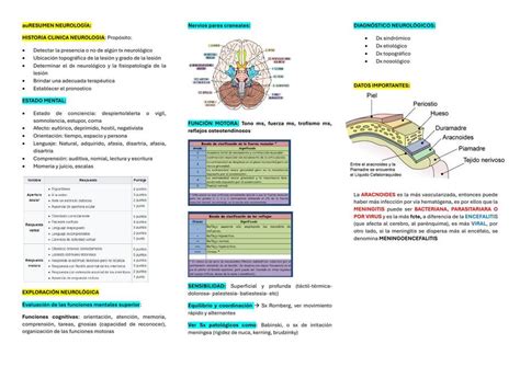 Neuro Paola Udocz Neuro Paola Udocz