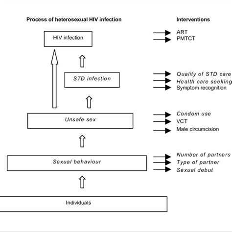 2 Schematic Flowchart Of The Process Of Heterosexual HIV Infection In Download Scientific