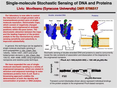 Ppt Single Molecule Stochastic Sensing Of Dna And Proteins Powerpoint Presentation Id1764000