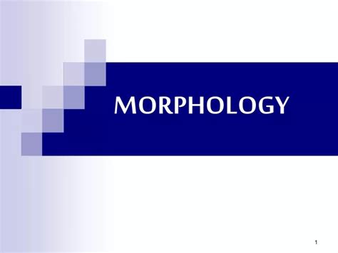 Ppt Morphology Powerpoint Presentation Free Download Id 9598072