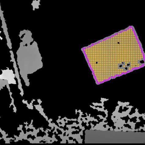 labeling of depth camera data with yellow pixels as detections and download scientific diagram