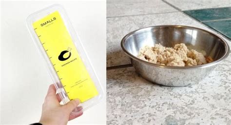 Smalls Cat Food Review 2025 Is It Worth It
