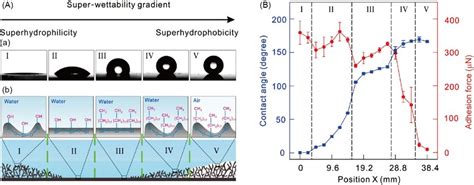 Characterization Of The Surface With Wettability Gradient From