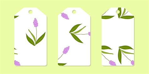 Layout Template Of Colored Labels For Clothes Label Banner Layout Vector Label Banner Layout