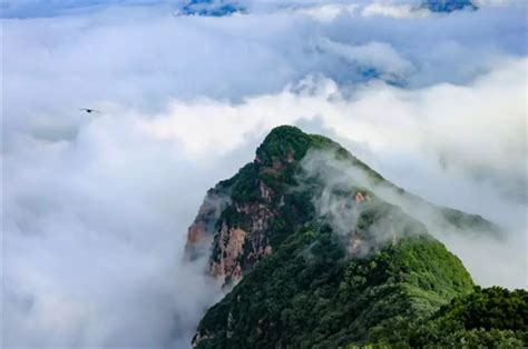 绿意悠悠晕染酷夏来济源看最养眼风景 济源全域旅游 愚公故里山水济源