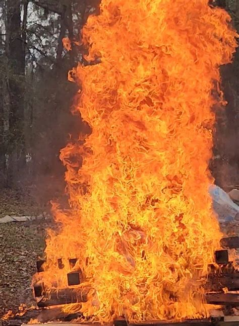 how to get rid of a sex doll she went up in a blaze of glory by erika diegel martin medium