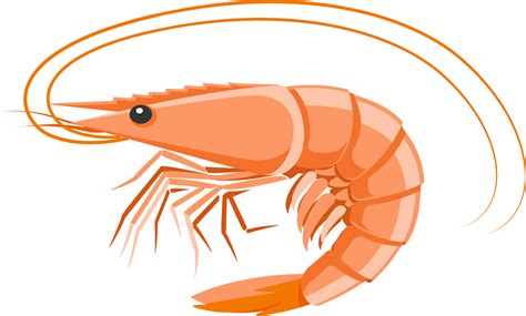 Color Plano De Camarones 18928795 Png