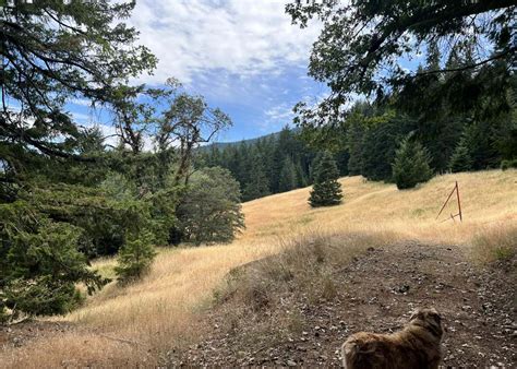 00 Stapp Rd Ca 95549 Mls 267477 Redfin