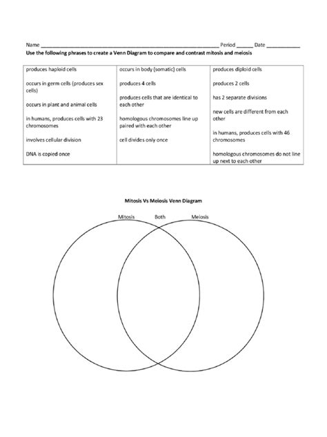 Mitosis Meiosis Venn Diagram Worksheet Pdf Worksheets Library
