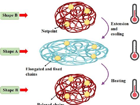 shape memory effect in polymers download scientific diagram