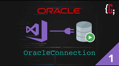 Conectar C Con Oracle 11g Youtube