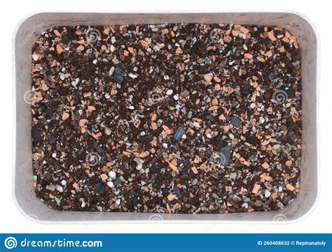 Plastic Box With Substrate Soil For Transplanting Houseplants Isolated