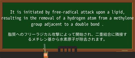 【英単語】double Bondを徹底解説！意味、使い方、例文、読み方 おもしろい英文法