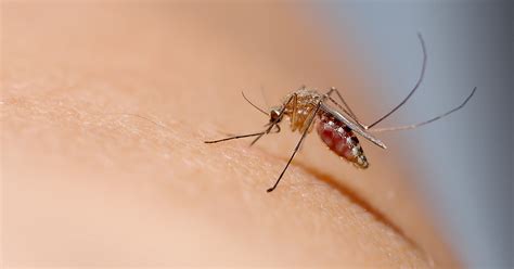 Our Science Azimuth Bio